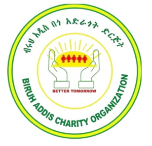 Five Million Ethiopian Coders Initiative