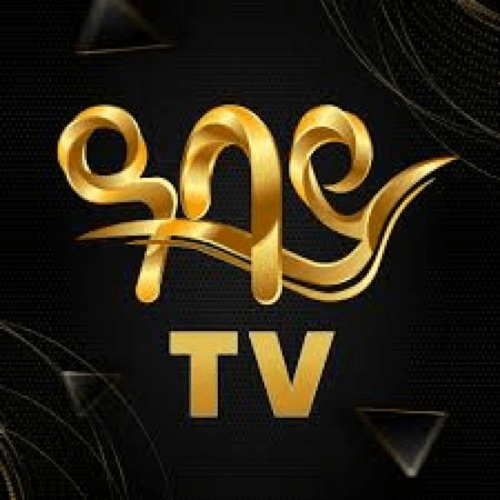 Abay Media Broadcast Service PLC Vacancy